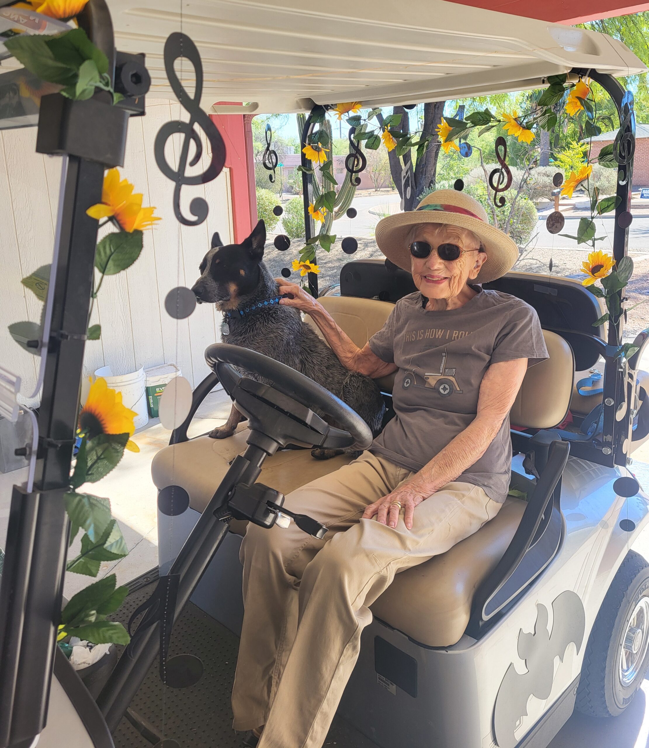 Witness to History: Living Under Nazi Rule in The Netherlands with ...